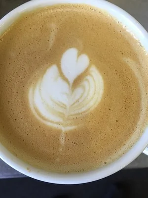 The Elgar Room Brasserie at the Royal Albert Hall Reservation | London ...