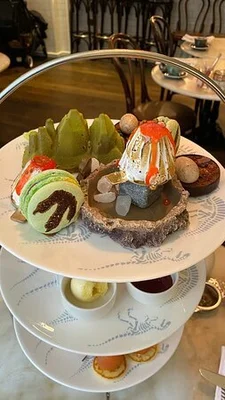 The Elgar Room Brasserie at the Royal Albert Hall Reservation | London ...