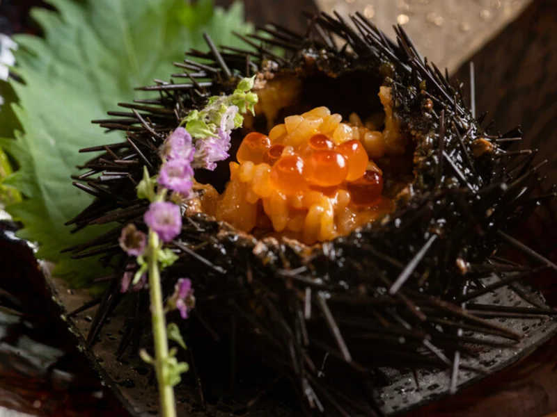 Ginza no Miko Sushi Online reservation | Chuo-ku, Tokyo | Sushi | AutoReserve